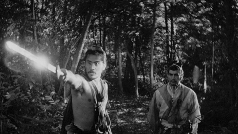 The Rashomon Effect Effect – The Sundae